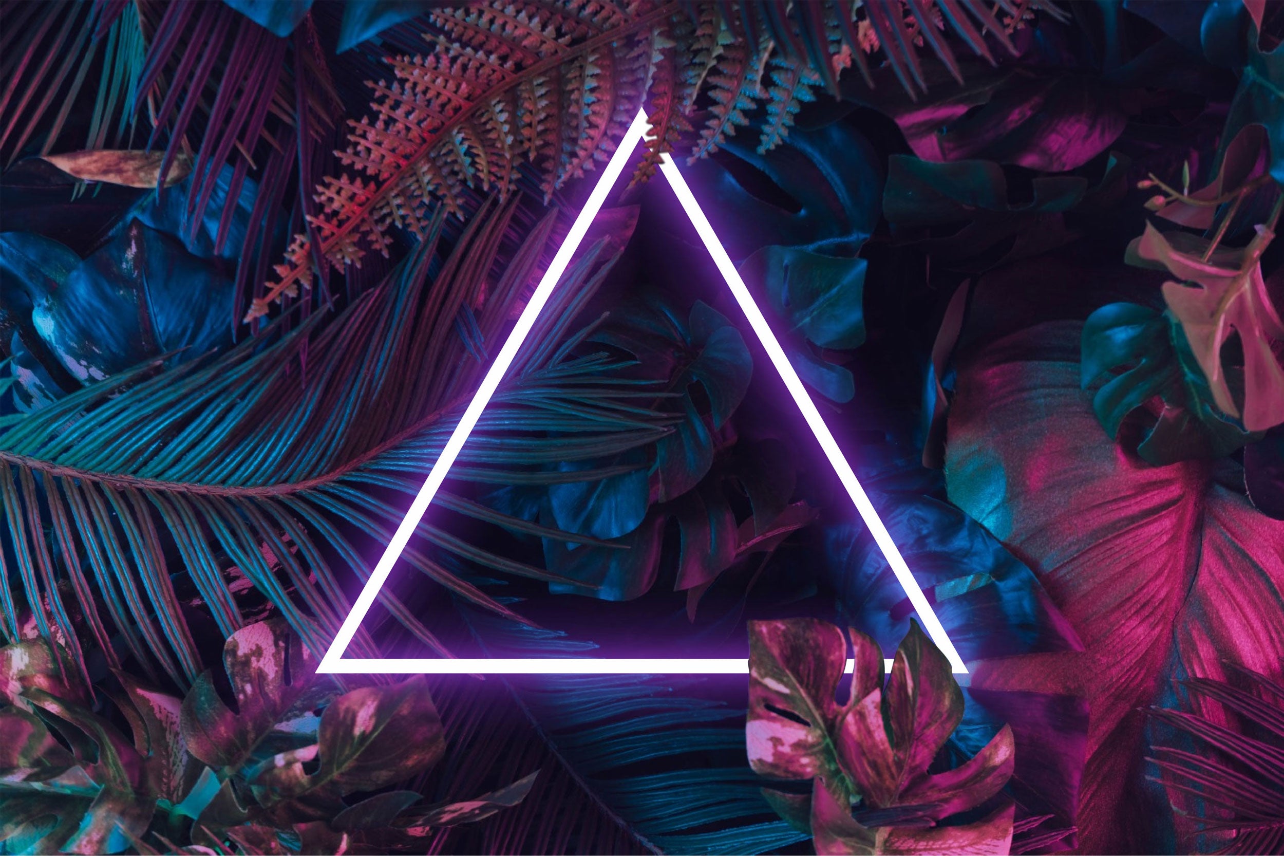 CUSTOMIZER – NEON VIBES®