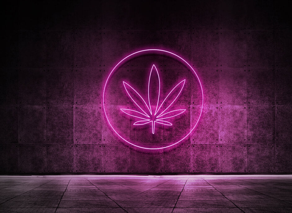HANF BLATT – NEON VIBES®